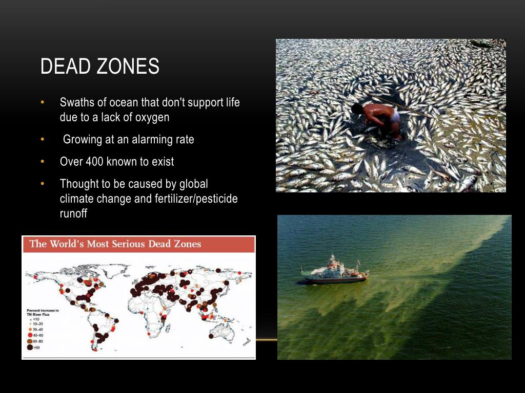 PPT - Ten Threats to ocean health PowerPoint Presentation, free ...