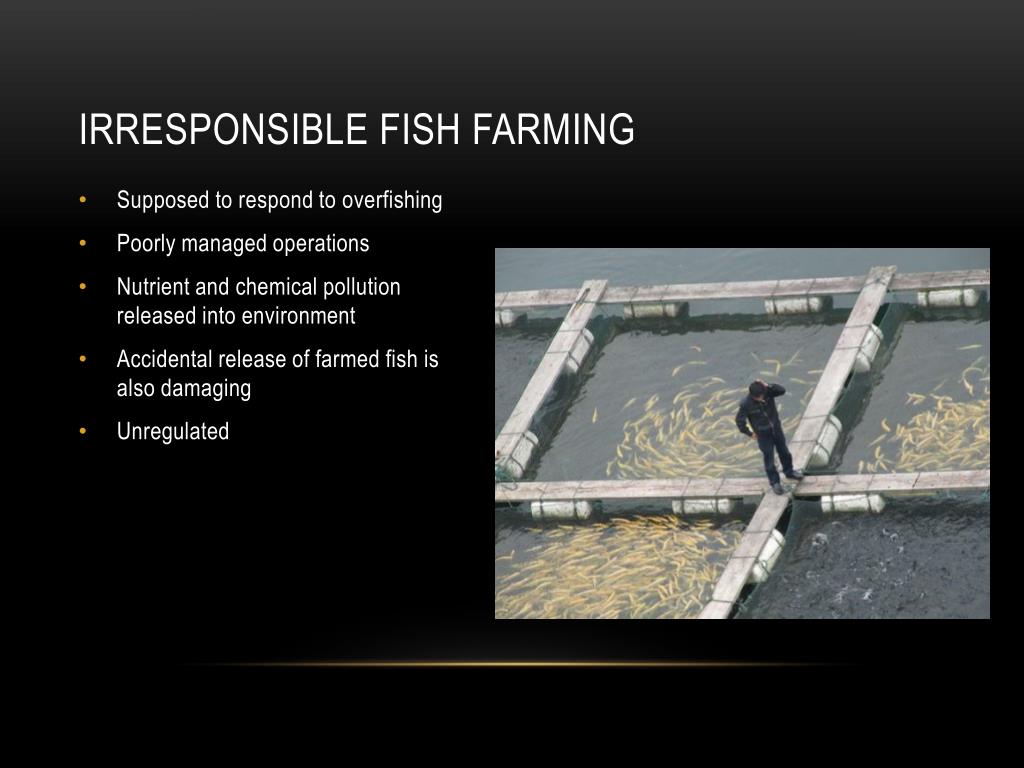 PPT - Ten Threats to ocean health PowerPoint Presentation, free ...