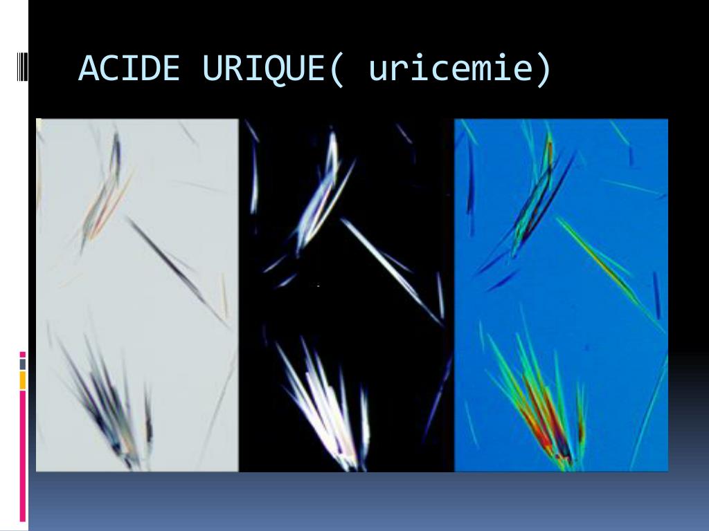 PPT - Mieux interpreter les examens biologiques courants en ...