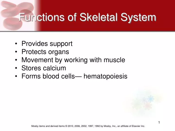 PPT - Functions of Skeletal System PowerPoint Presentation, free ...