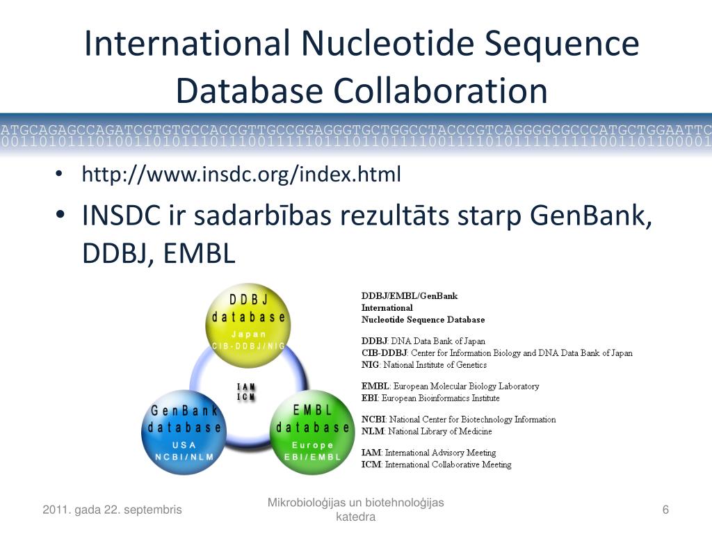 PPT - Genomu organizācija Modernās genomu analīzes metodes PowerPoint ...