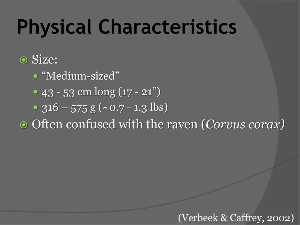 PPT - The American Crow ( Corvus brachyrhynchos ) PowerPoint ...