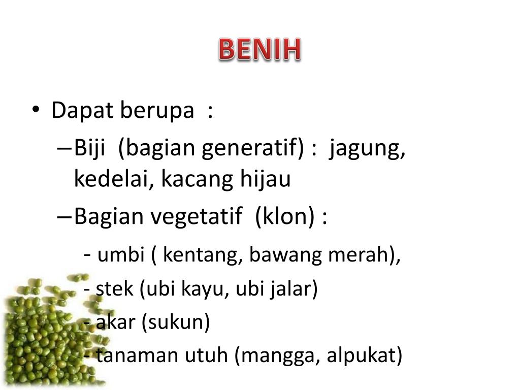 PPT - TEKNOLOGI PRODUKSI BENIH PowerPoint Presentation, free download ...