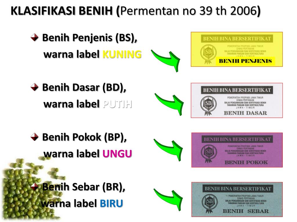 PPT - TEKNOLOGI PRODUKSI BENIH PowerPoint Presentation, free download ...