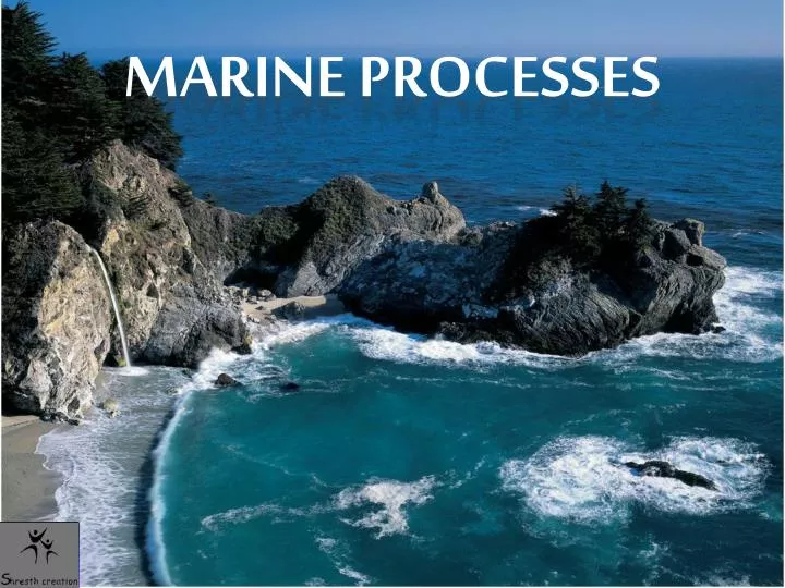 PPT - Marine Processes PowerPoint Presentation, free download - ID:2081753