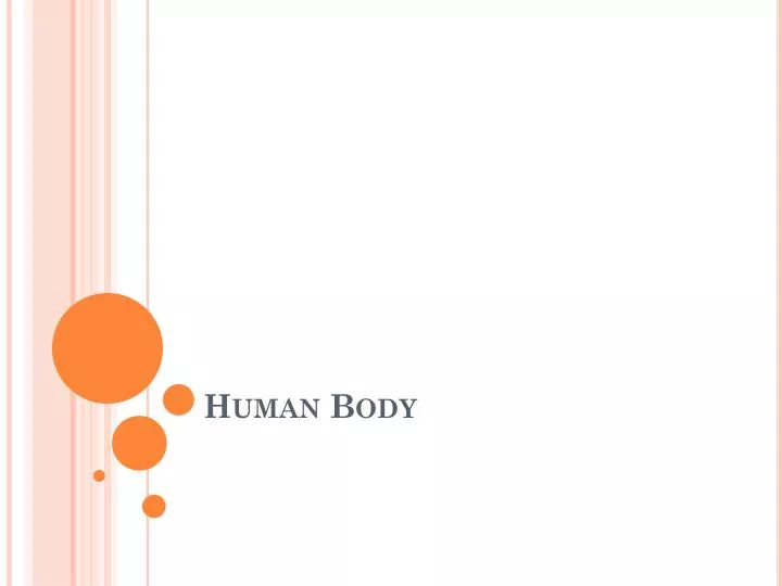 PPT - Human Body PowerPoint Presentation, free download - ID:2081766