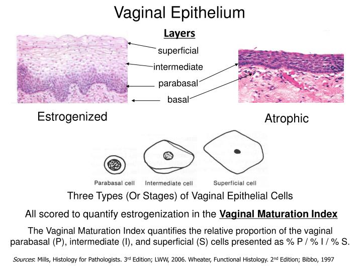 PPT - Disclosures PowerPoint Presentation - ID:2082117