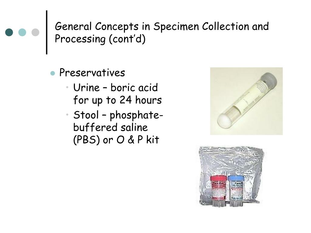 PPT - MLAB 2434 – MICROBIOLOGY KERI BROPHY-MARTINEZ PowerPoint ...