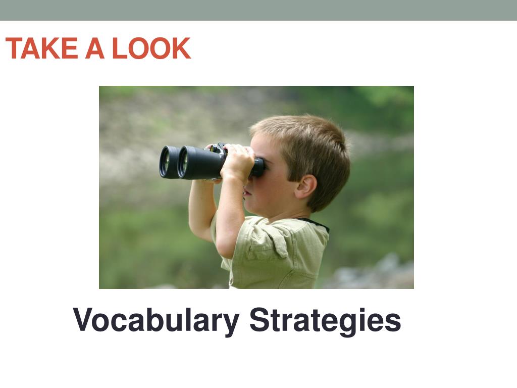 PPT - What are Words Worth? Vocabulary Instruction Worth Its Weight in ...