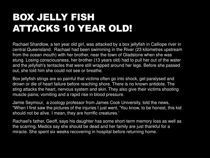 PPT - The Box Jellyfish! PowerPoint Presentation - ID:2083759