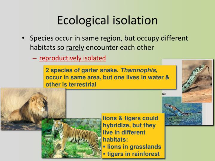 PPT - Mom, Dad… There’s something you need to know… I’m a MAMMAL ...