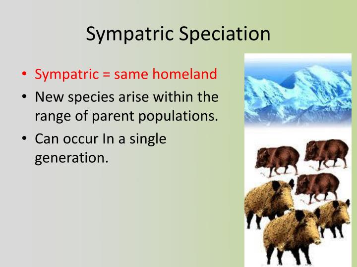 PPT - Mom, Dad… There’s something you need to know… I’m a MAMMAL ...