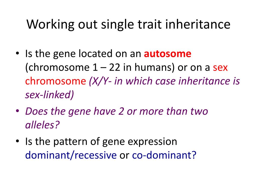 PPT - Meiosis: 10 th Grade PowerPoint Presentation, free download - ID ...