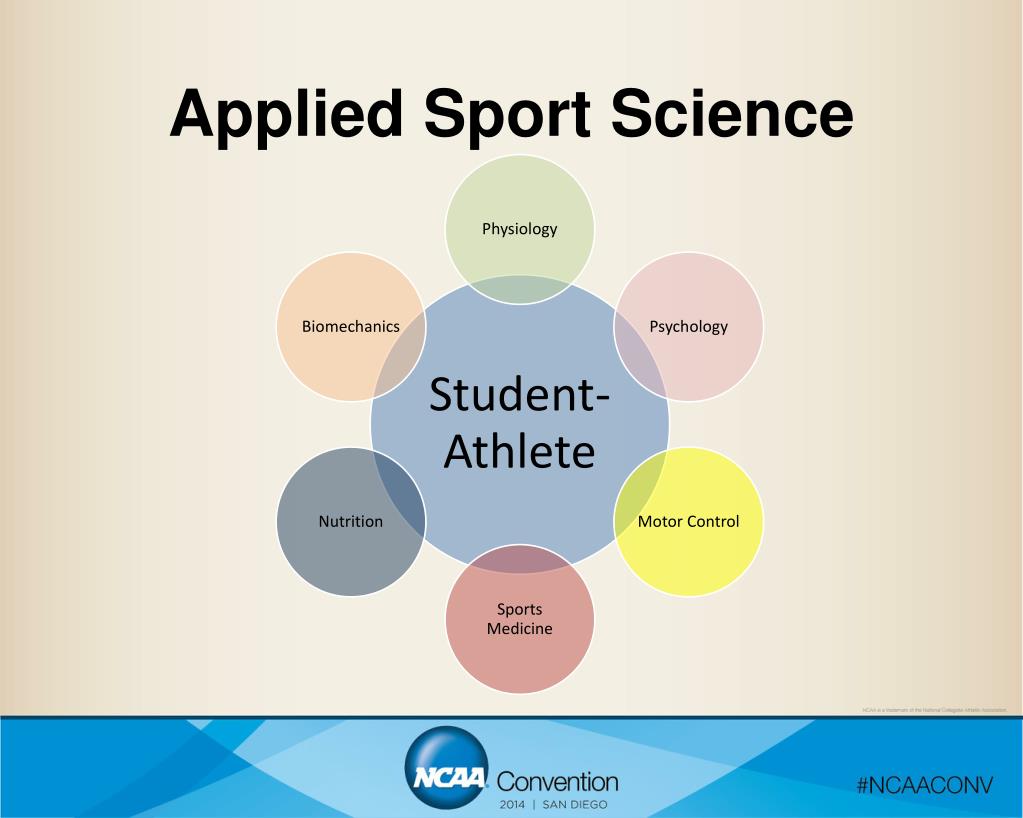 PPT - The Sport Science of Personal Health and Wellness PowerPoint ...