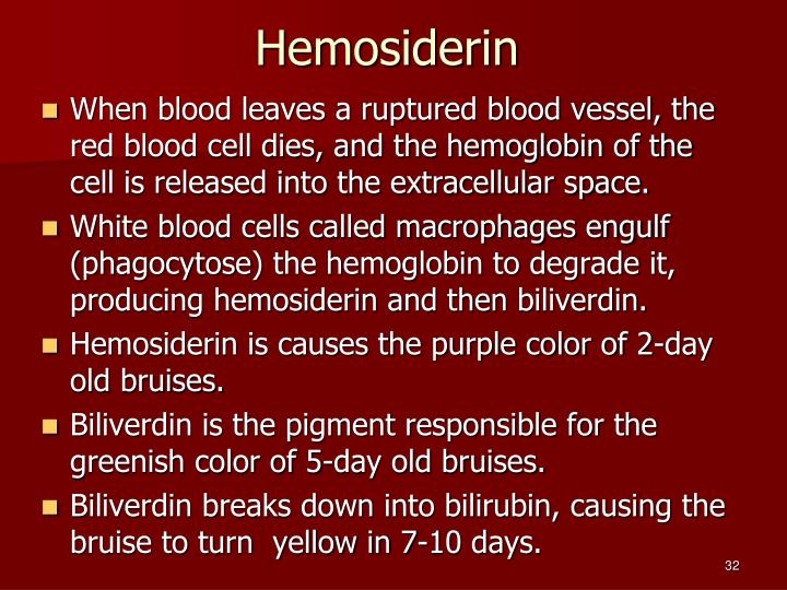 PPT - Blood physiology PowerPoint Presentation - ID:2084543