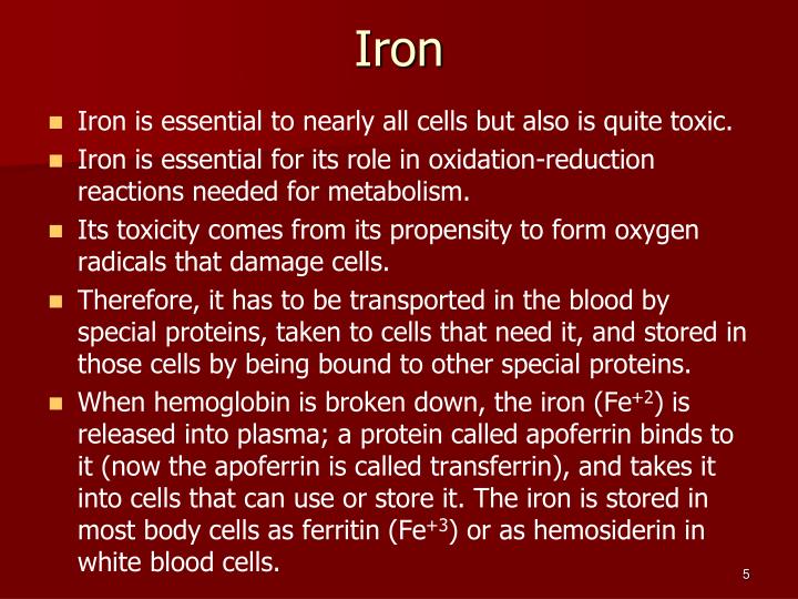 PPT - Blood physiology PowerPoint Presentation - ID:2084543