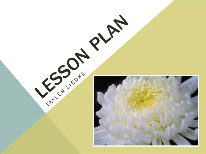 PPT - Lesson plan PowerPoint Presentation, free download - ID:2084600