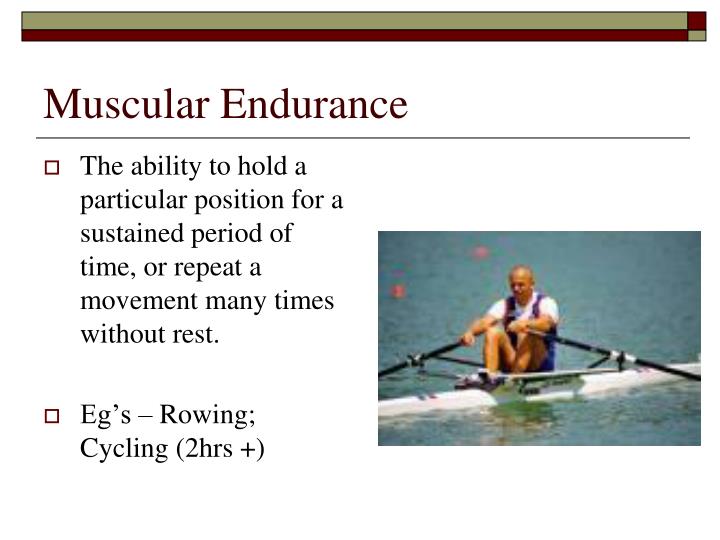 PPT - Components of Fitness PowerPoint Presentation - ID:2084654