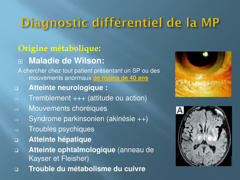 PPT - Qu’est-ce que ces personnalités ont en commun ? PowerPoint ...