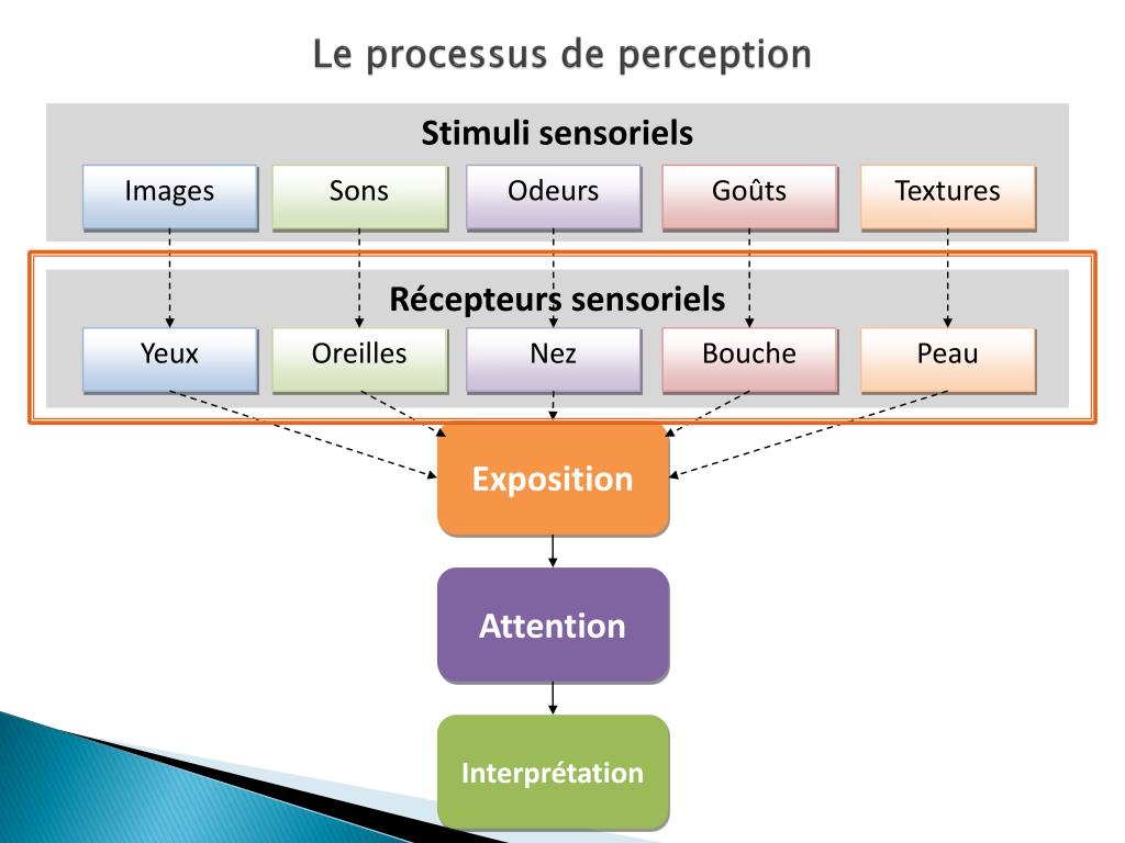 PPT - Partie 1 : Le consommateur en tant qu'individu PowerPoint ...