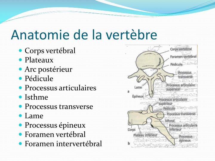 PPT - GTS501 cours #2 PowerPoint Presentation - ID:2085755