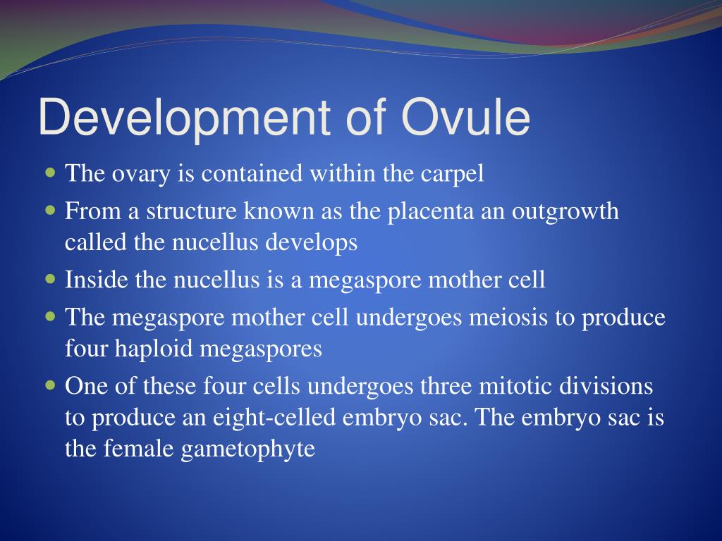 PPT - Sexual reproduction in plants PowerPoint Presentation, free ...