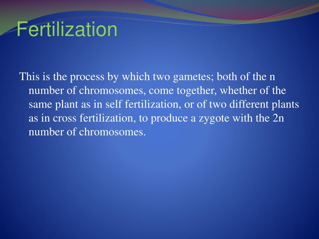 PPT - Sexual reproduction in plants PowerPoint Presentation, free ...