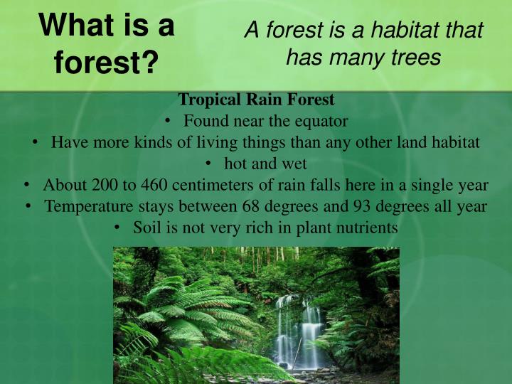 PPT - Habitats and Adaptations PowerPoint Presentation - ID:2086289