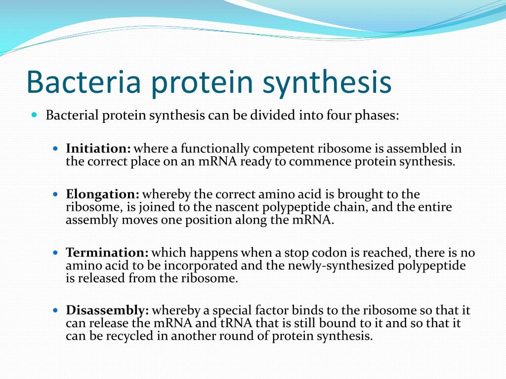 PPT - Drugs acting on bacterial protein biosynthesis PowerPoint ...
