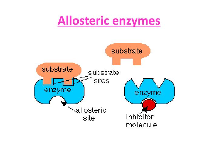 PPT - Inhibition of enzyme activity PowerPoint Presentation - ID:2087152