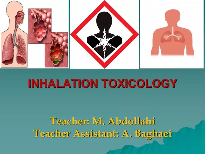PPT - Inhalation Toxicology PowerPoint Presentation, free download - ID ...