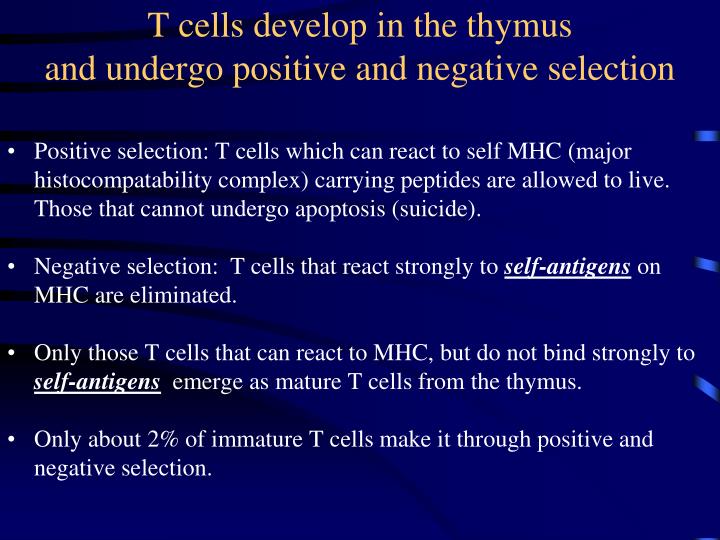 PPT - Cell-Mediated Immunity PowerPoint Presentation - ID:2087215