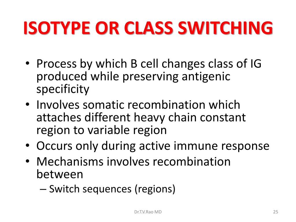 PPT - Humoral Immunity Antibody Mediated PowerPoint Presentation, free ...