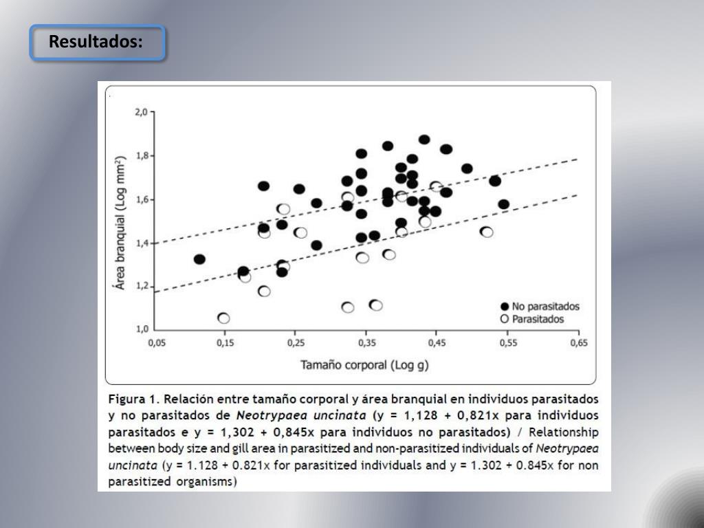 PPT - Respuestas fisiológicas de Neotrypaea uncinata ( Decapoda ...