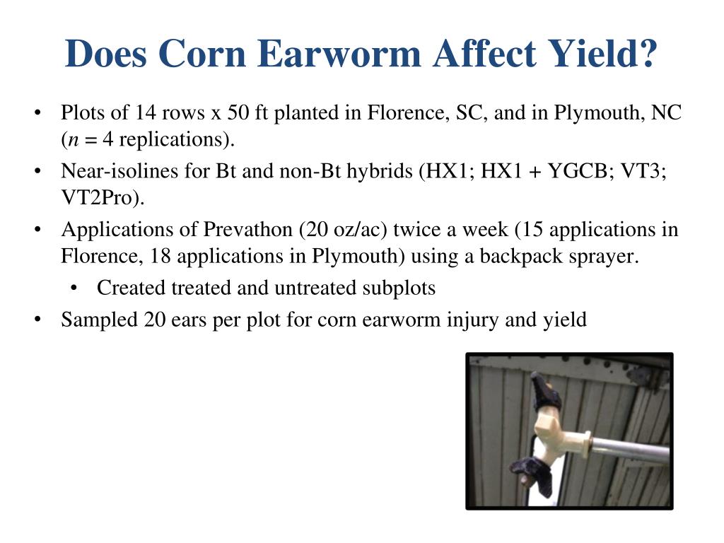 PPT - North Carolina Corn Insect Pest 2014 Update PowerPoint ...