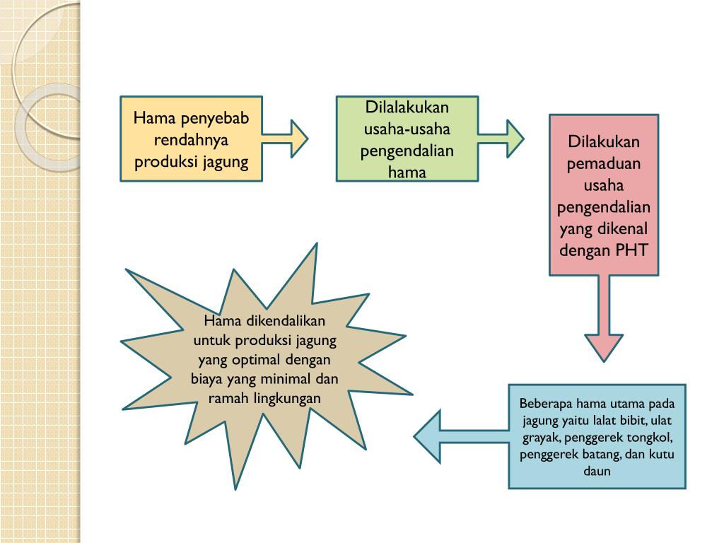 PPT - Pengendalian Hama Terpadu (PHT) pada Jagung PowerPoint ...