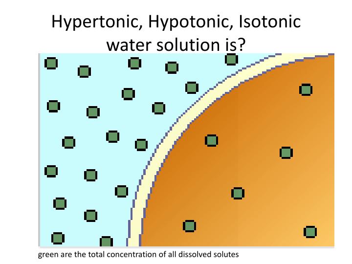 PPT - Hypertonic, Hypotonic, Isotonic PowerPoint Presentation - ID:2087854
