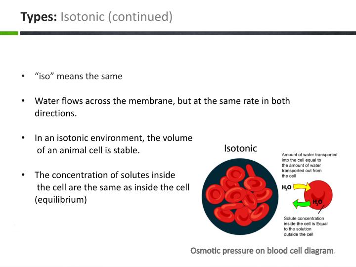 PPT - introducing Osmosis PowerPoint Presentation - ID:2087870