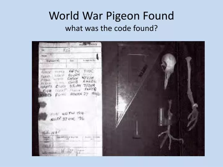 PPT - World War Pigeon Found what was the code found? PowerPoint ...