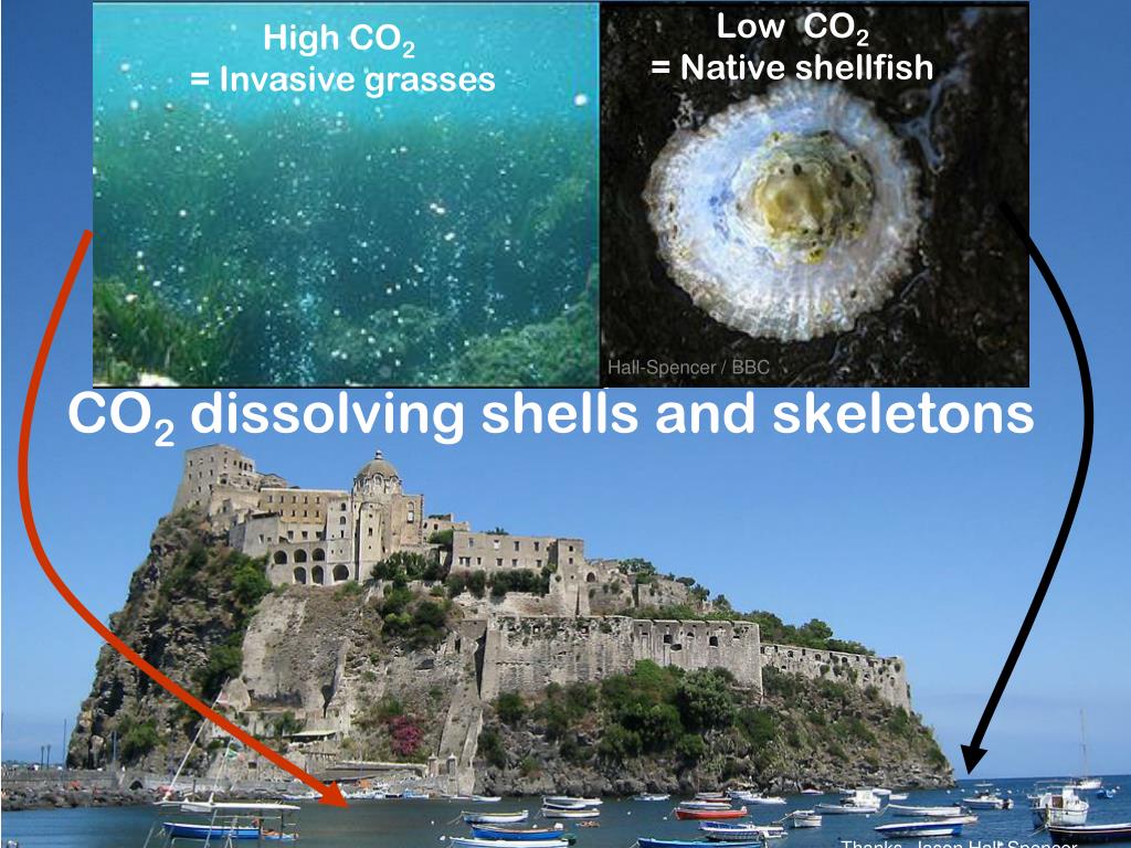 PPT - Carbon Dioxide, Chemistry and Climate How do we know anything ...