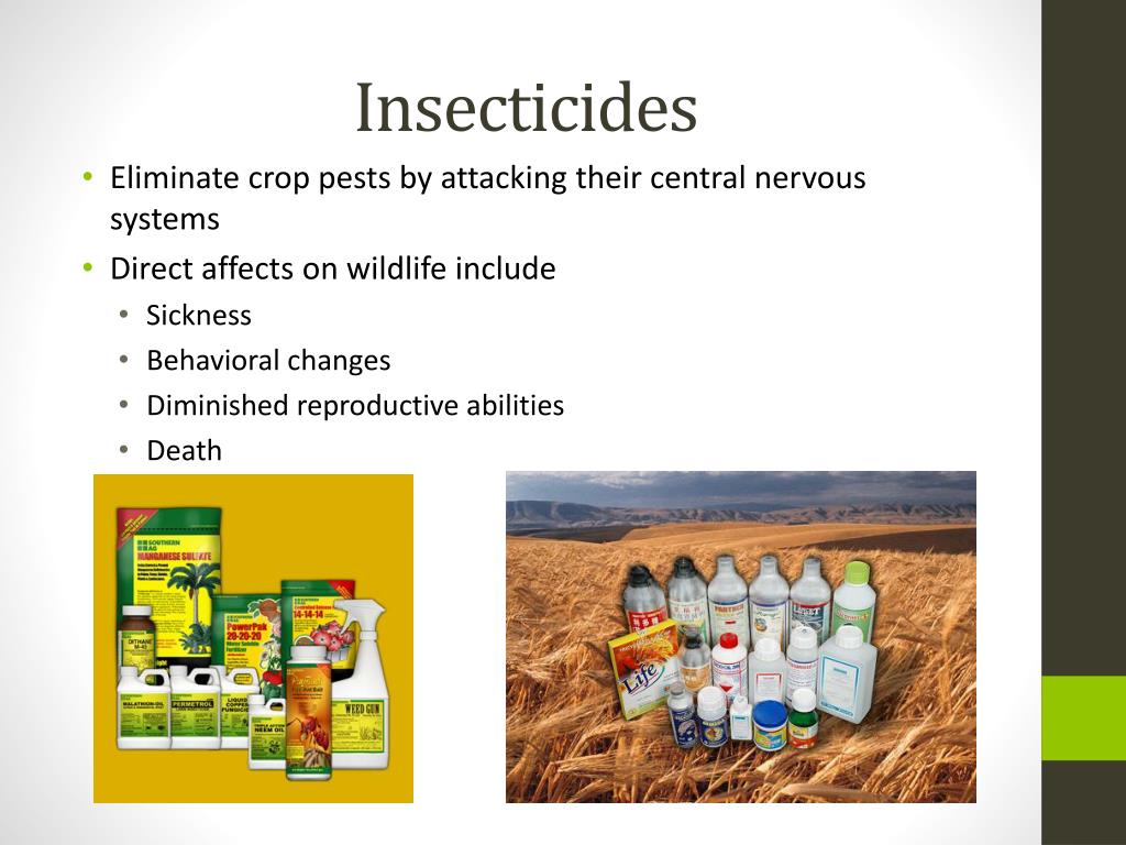 PPT - The Effects of Agriculture on Wildlife PowerPoint Presentation ...