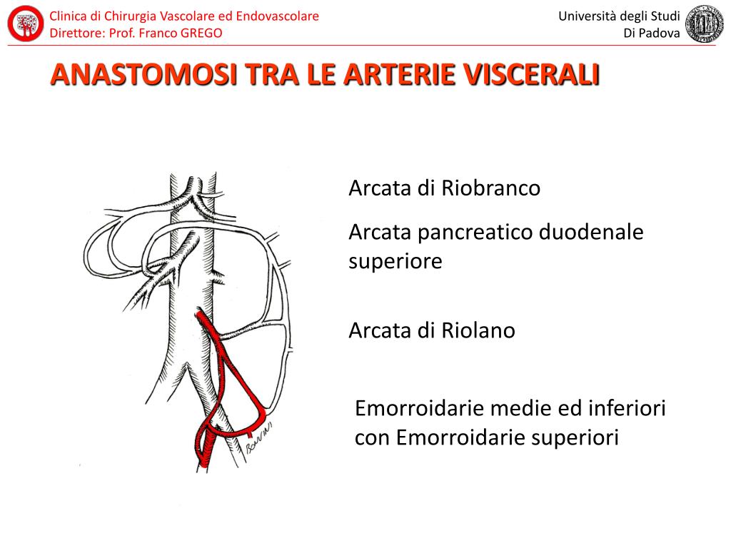 PPT - PATOLOGIA ARTERIE VISCERALI: ISCHEMIA INTESTINALE PowerPoint ...