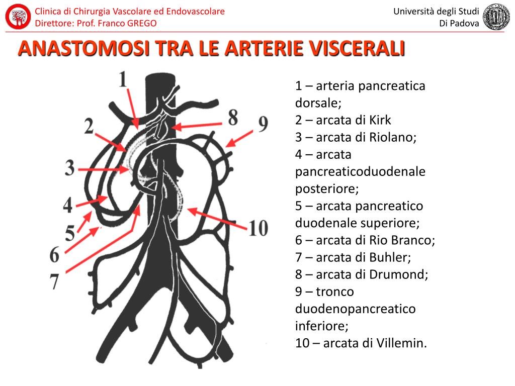 PPT - PATOLOGIA ARTERIE VISCERALI: ISCHEMIA INTESTINALE PowerPoint ...
