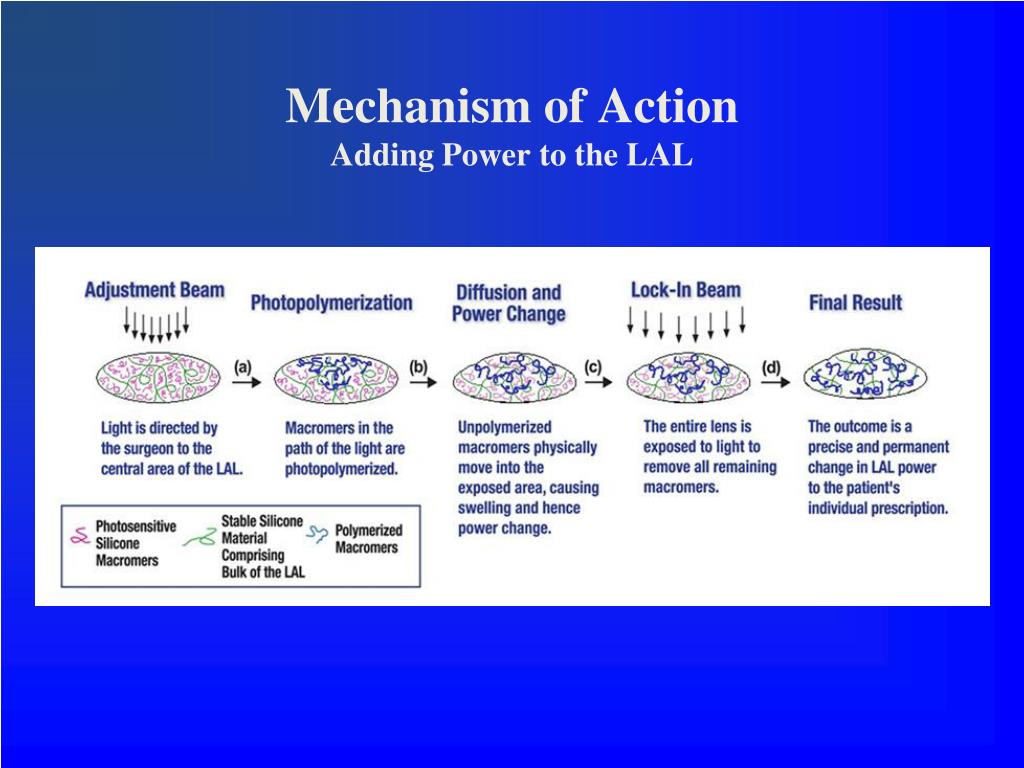 PPT - Light Adjustable Lens (LAL) Phase III FDA Clinical Study ...