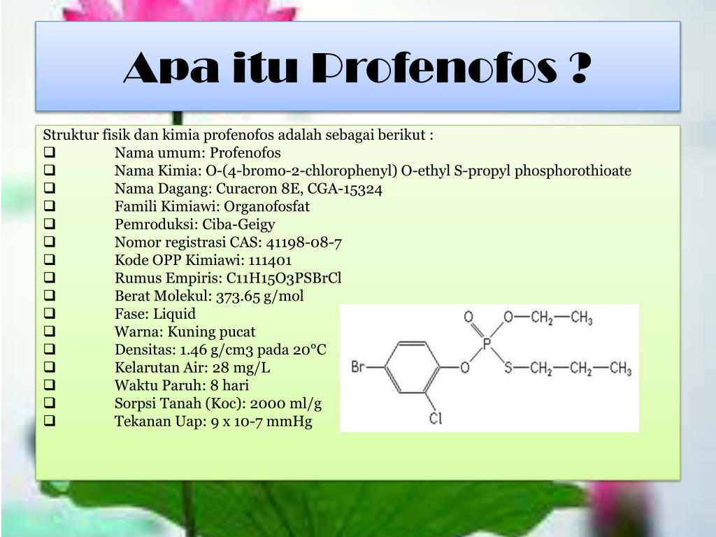 PPT - Profenofos dalam Tanah dan Bawang Merah PowerPoint Presentation ...