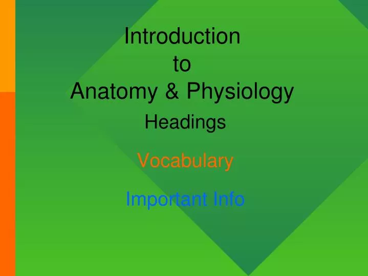 PPT - Introduction to Anatomy & Physiology PowerPoint Presentation - ID ... PPT - Introduction to Anatomy & Physiology PowerPoint Presentation - ID ...