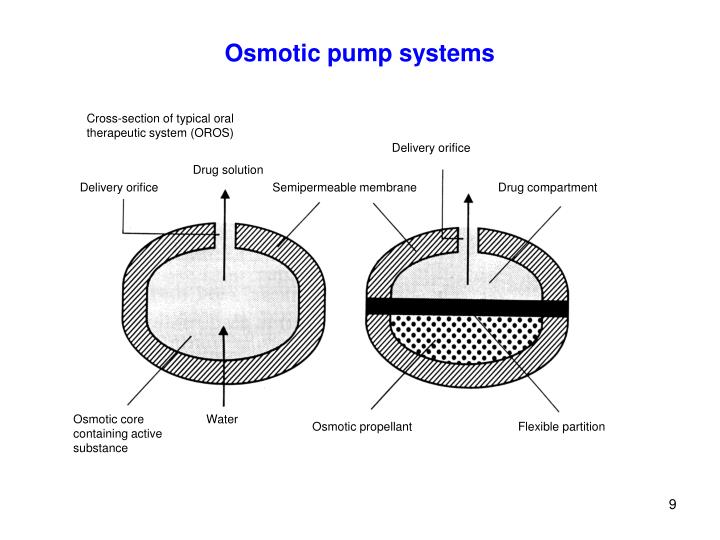 PPT - 3. Product Development Design Case Study PowerPoint Presentation ...