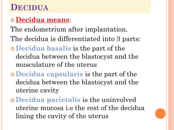 PPT - Fetal Membranes PowerPoint Presentation - ID:2090331