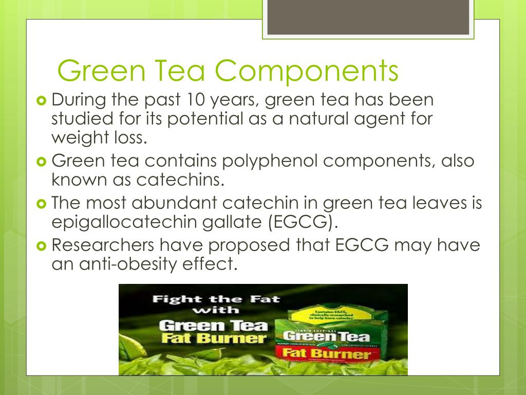 PPT - Green Tea & Fat Metabolism PowerPoint Presentation, free download ...