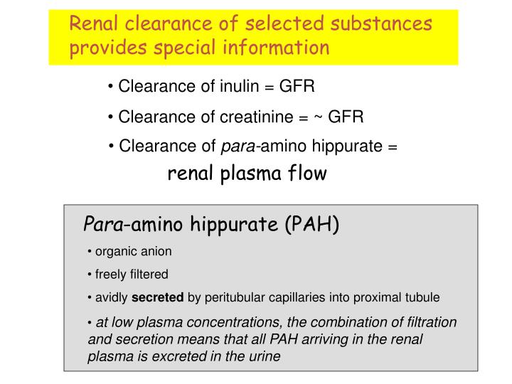 PPT - Renal clearance PowerPoint Presentation - ID:2090654